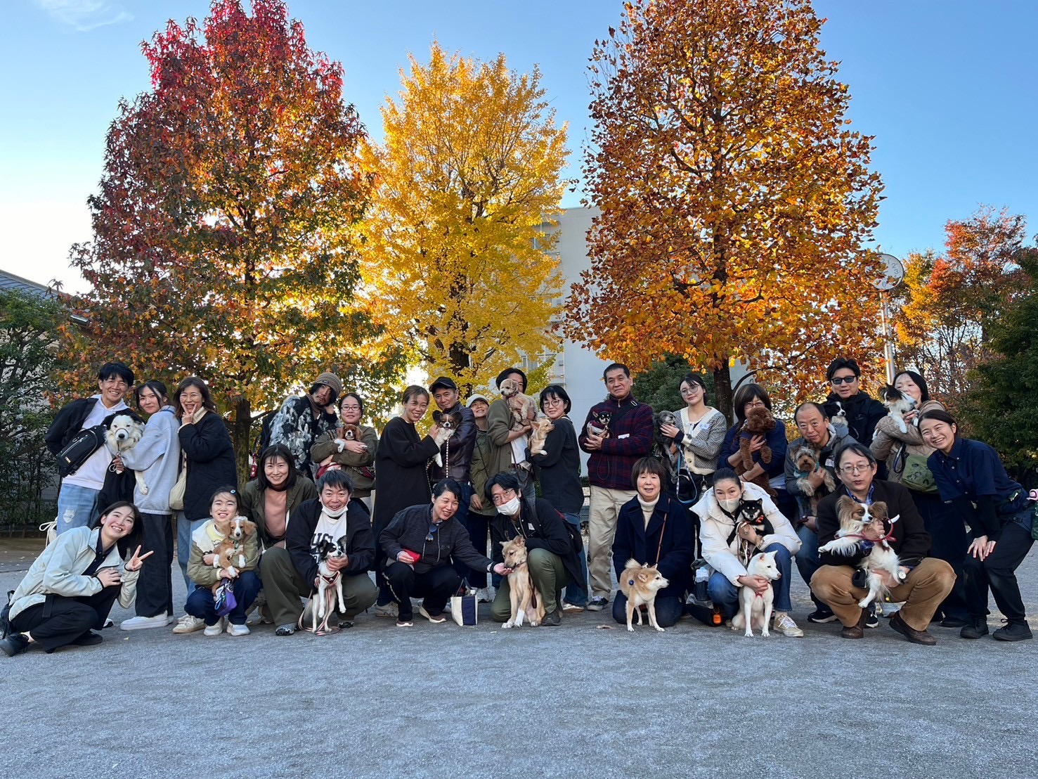 イベント：わんわんウォーキング2024/11|犬のしつけ教室DOGLY東京